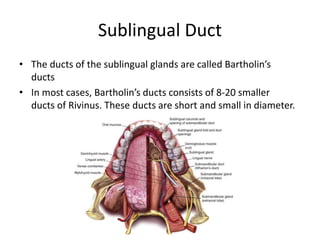 Salivary glands diseases | PPT