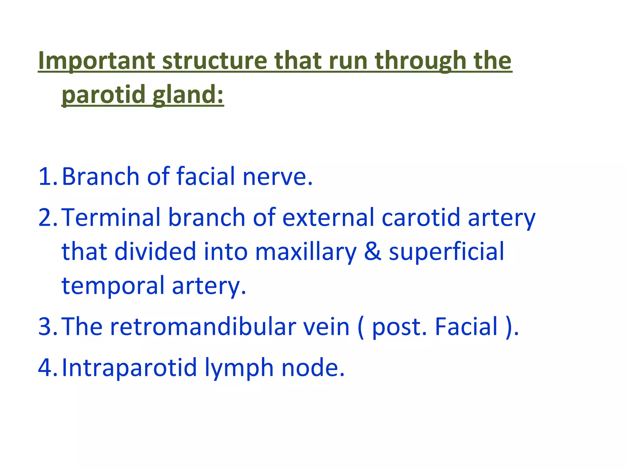 Salivary glands | PPT