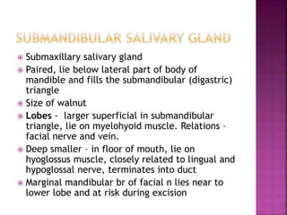 Salivary glands | PPTX