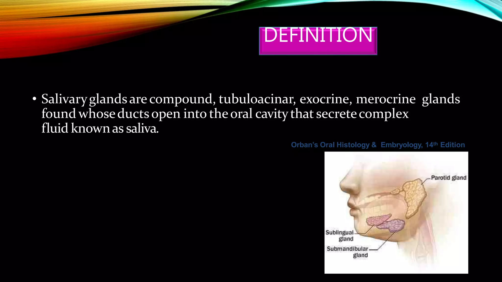 Salivary glands | PPTX
