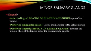 Salivary glands | PPTX