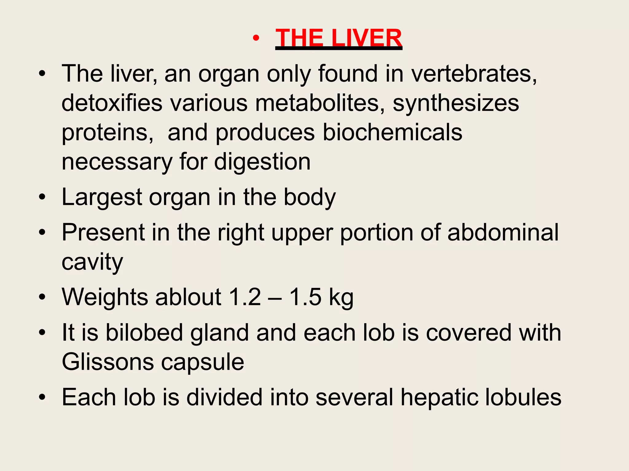 Digestive Glands | PPT
