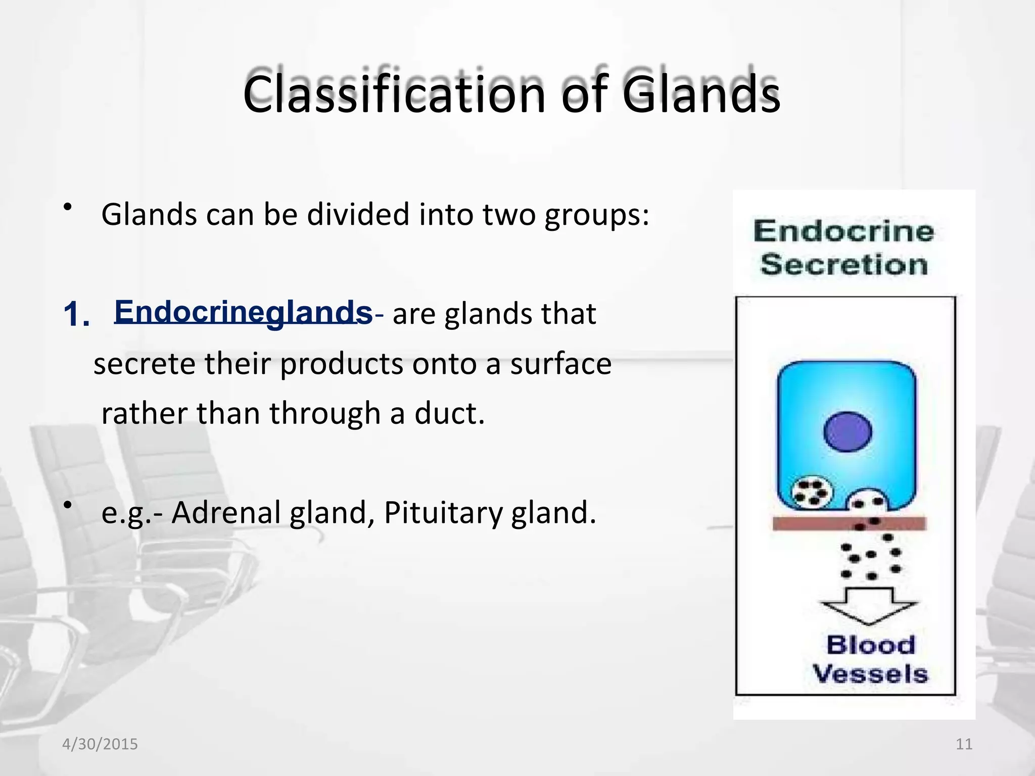SALIVARY GLANDS.pptx