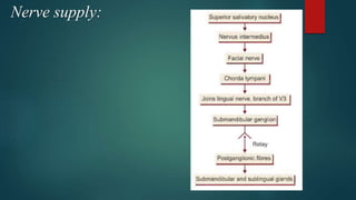 Saliva & Salivary glands A Prosthodontics Perspective | PPTX