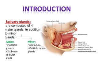 salivary glands.ppt