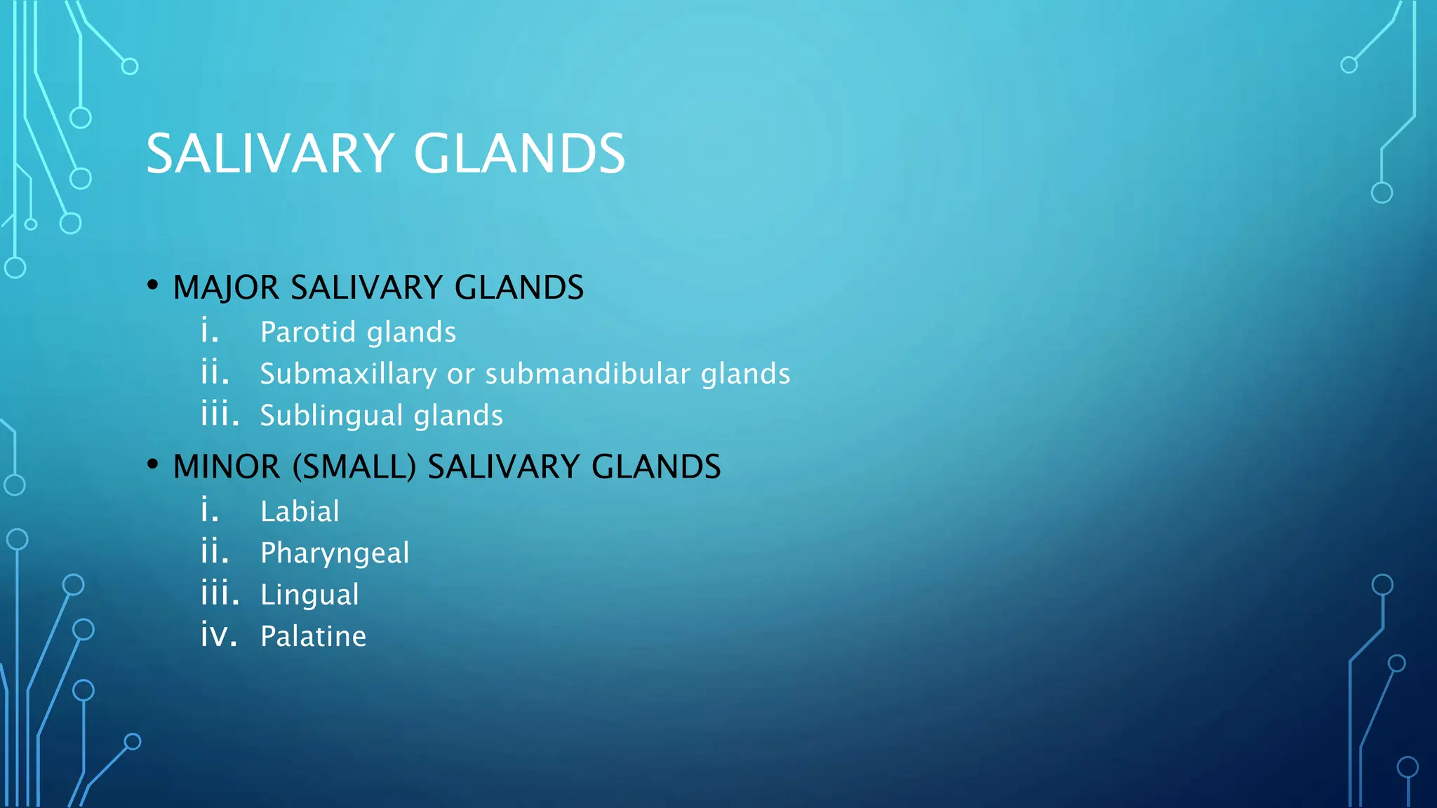 salivary glands.pptx