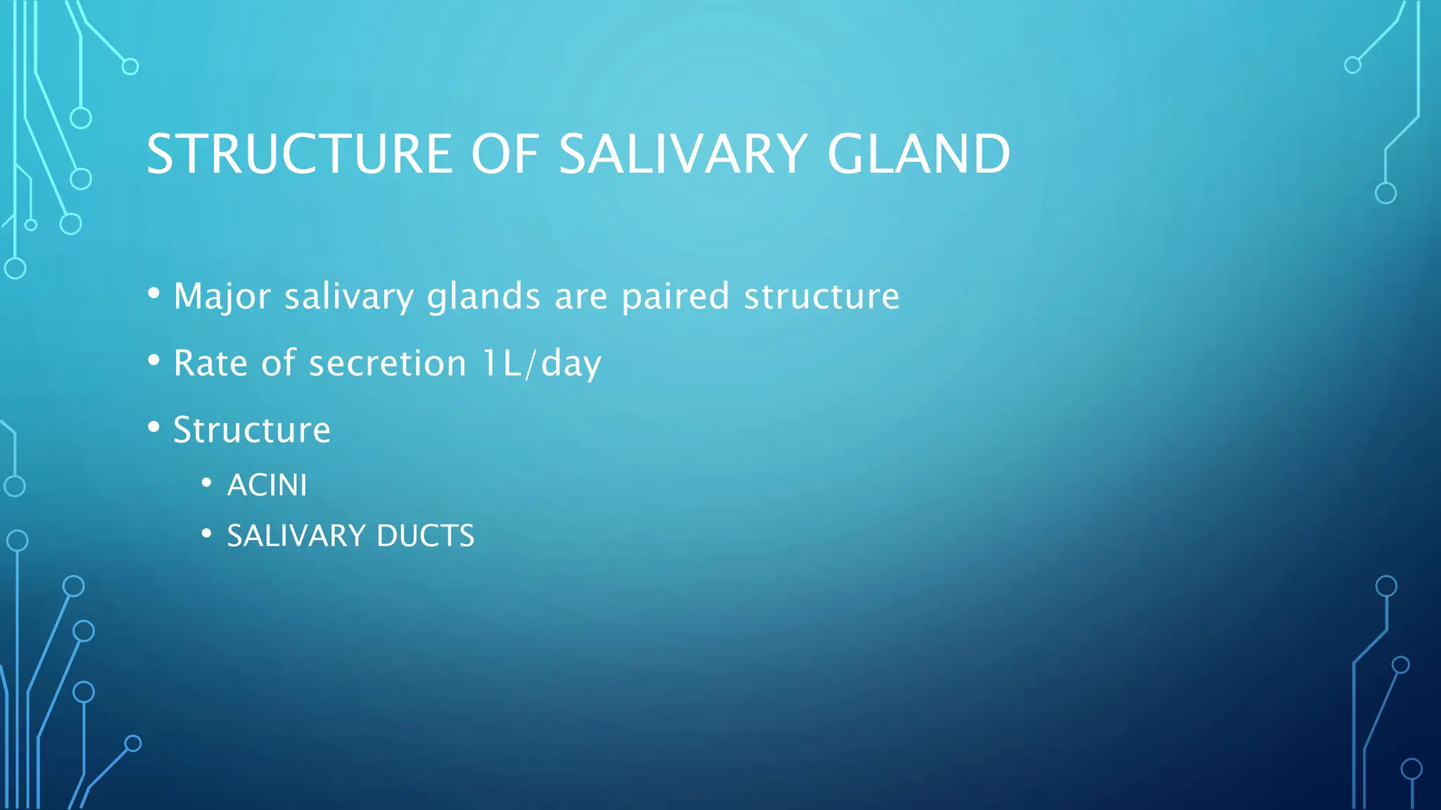 salivary glands.pptx