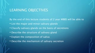 salivary glands.pptx