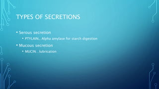 salivary glands.pptx