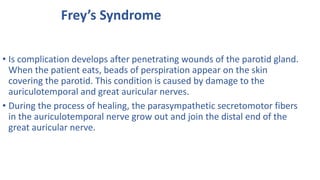 anatomy of the human Salivary Glands.pptx