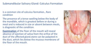 anatomy of the human Salivary Glands.pptx