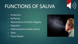 Salivary Glands By DMD Students 3rd year | PPTX