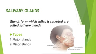 Salivary glands pptx for Bams students 2 | PPT