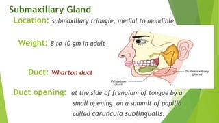 Salivary glands pptx for Bams students 2 | PPT