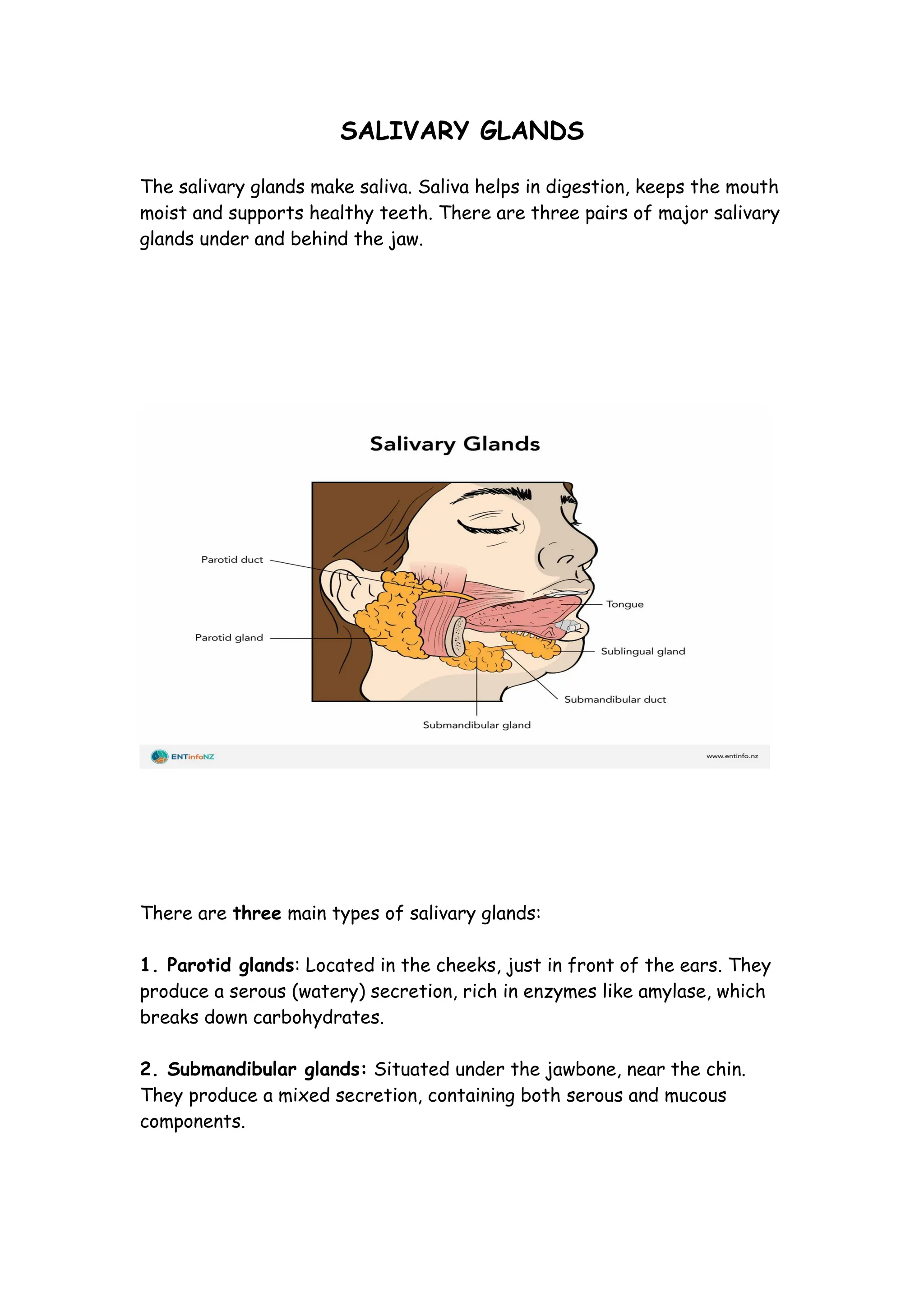 SALIVARY GLANDS GNM nursing students. ,, | DOCX