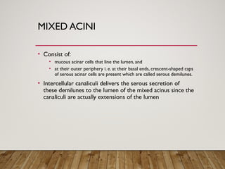 Salivary Glands Anatomy and Histology.ppt