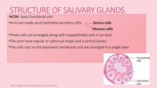 SALIVARY GLANDS in oral pathology446.pptx
