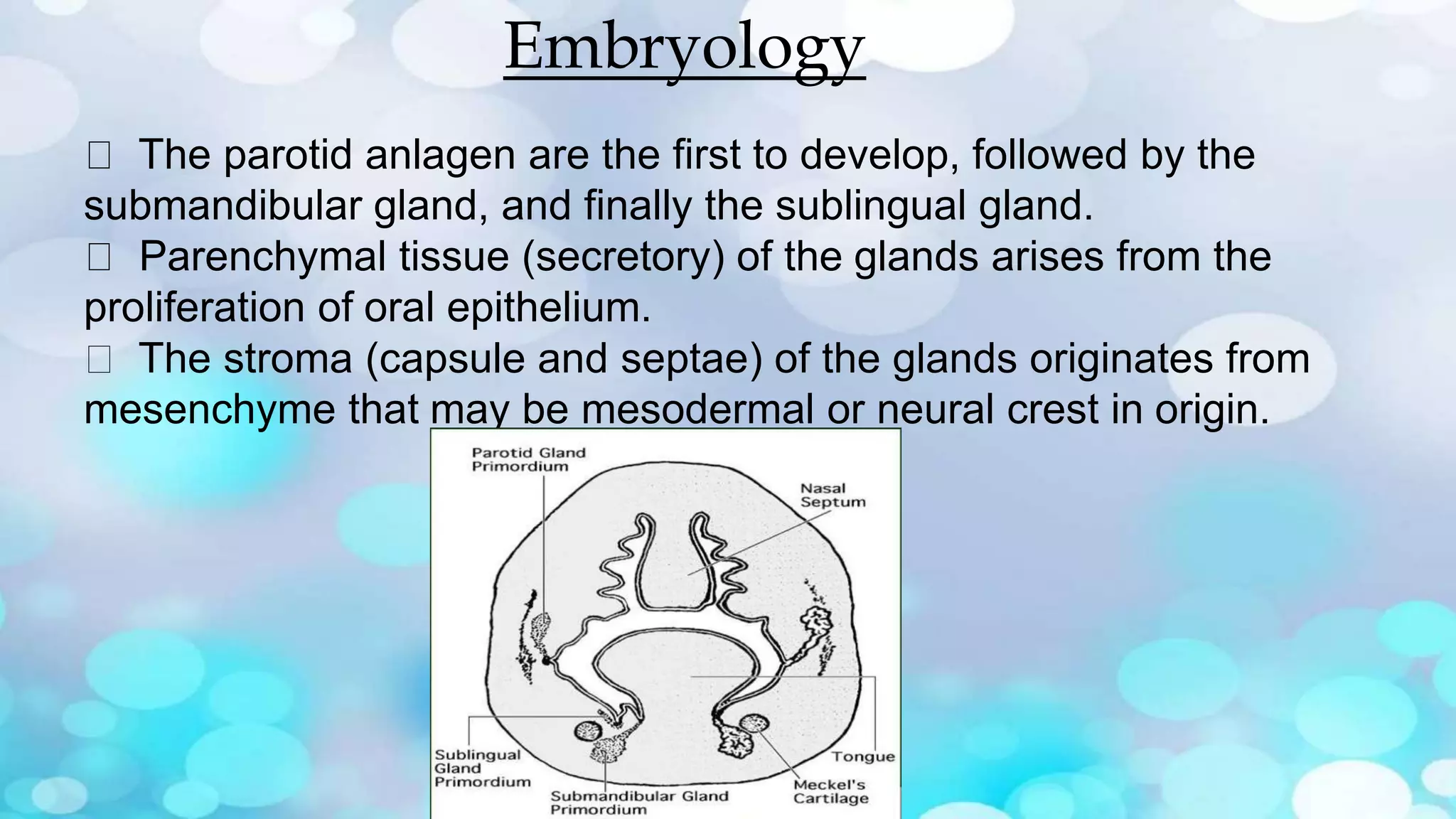 Surgical anatomy of Salivary glands - ORAL AND MAXILLOFACIAL SURGERY | PPTX