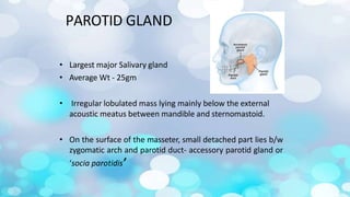 Surgical anatomy of Salivary glands - ORAL AND MAXILLOFACIAL SURGERY | PPTX