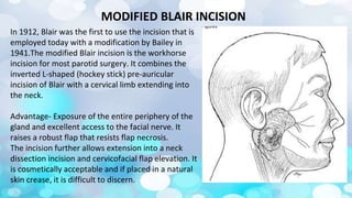 Surgical anatomy of Salivary glands - ORAL AND MAXILLOFACIAL SURGERY | PPT