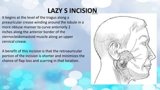 Surgical anatomy of Salivary glands - ORAL AND MAXILLOFACIAL SURGERY | PPT