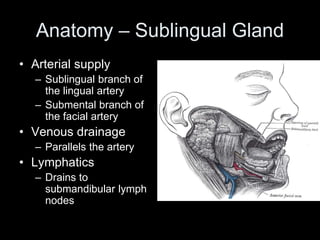 salivary glands-csu.ppt