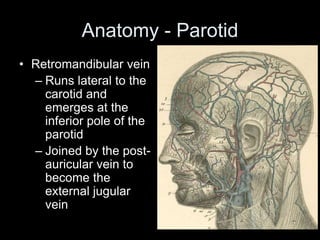 salivary glands-csu.ppt