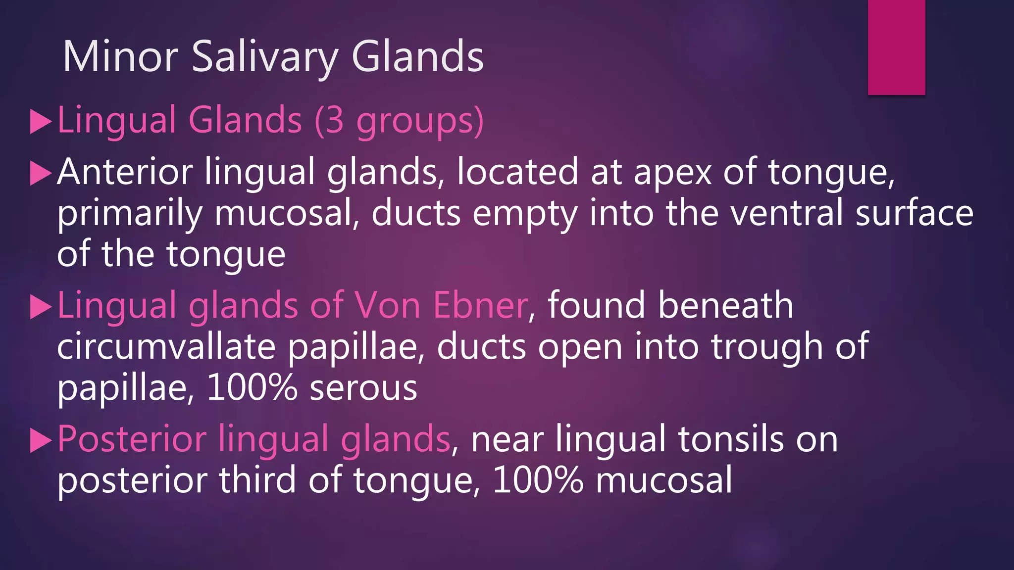 Salivary Glands and Lymphatic System | PPTX