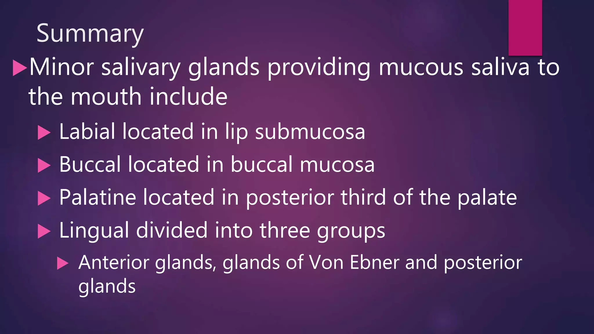 Salivary Glands and Lymphatic System | PPTX