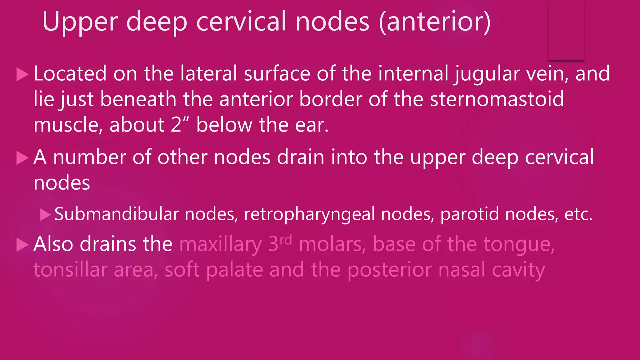 Salivary Glands and Lymphatic System | PPTX