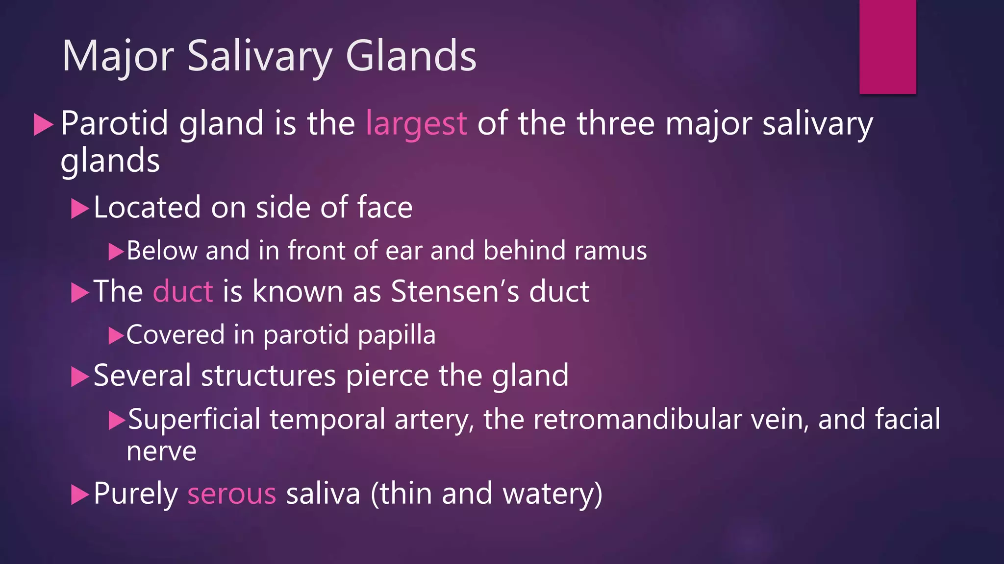 Salivary Glands and Lymphatic System | PPTX