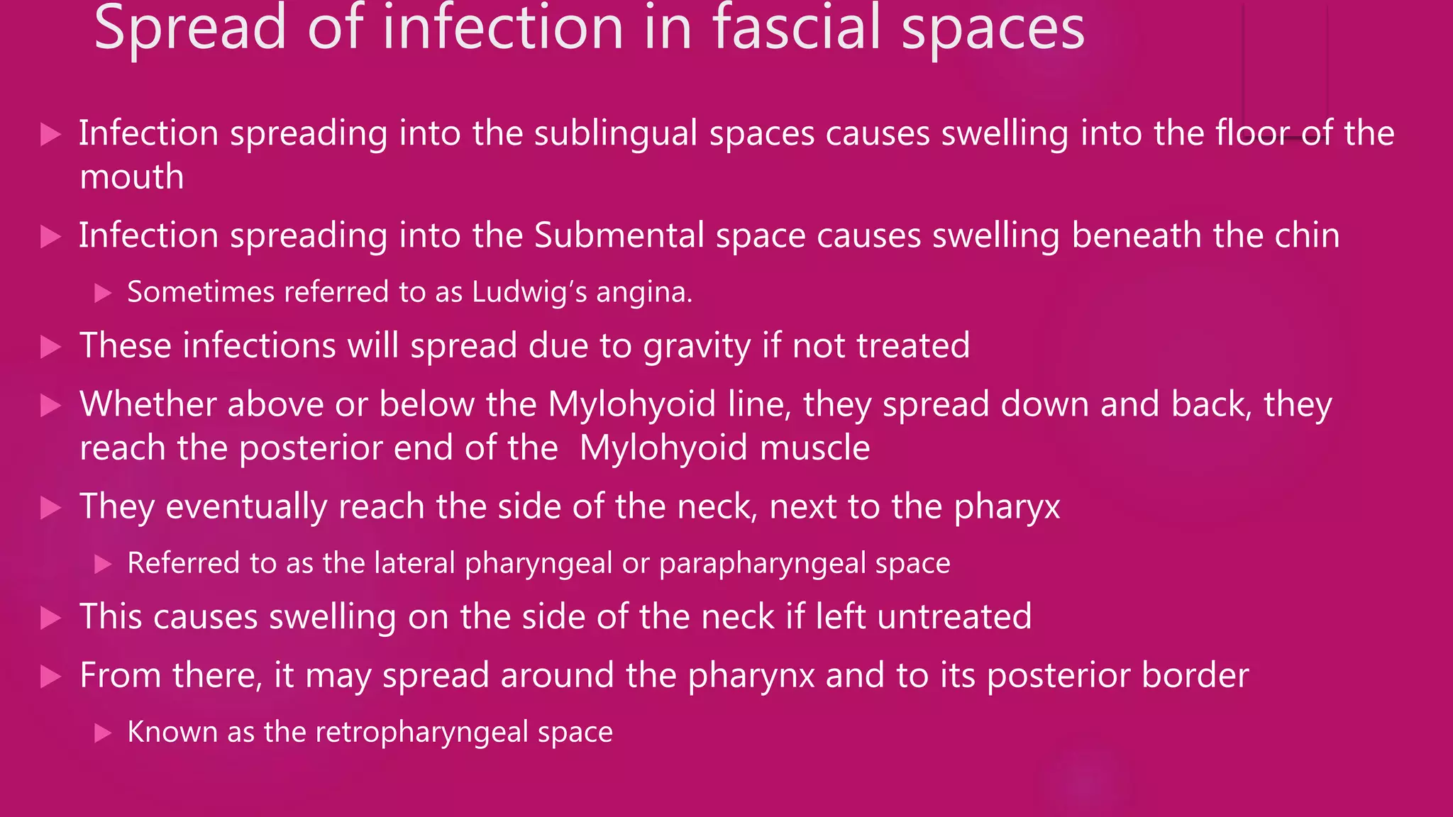Salivary Glands and Lymphatic System | PPTX