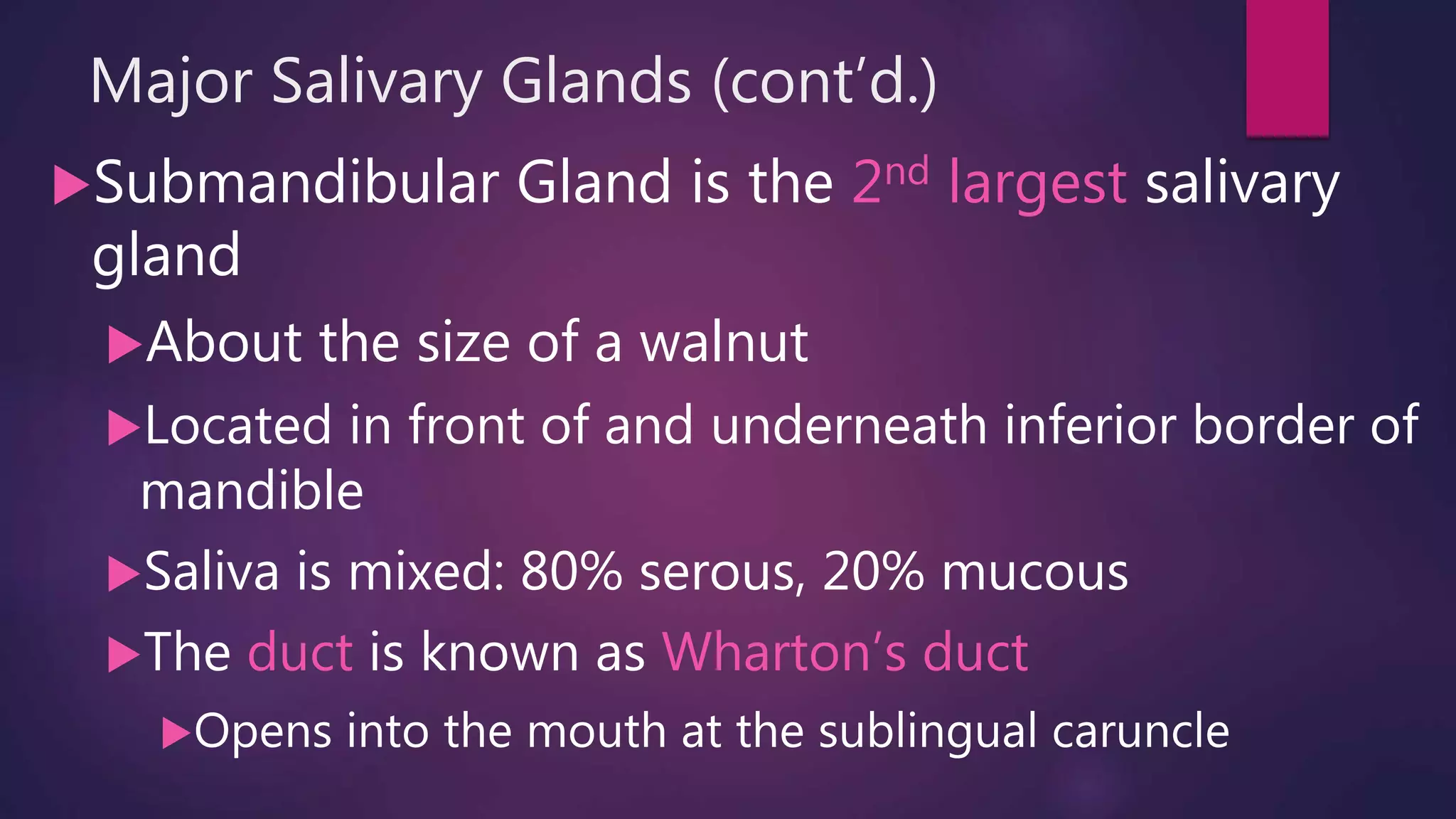 Salivary Glands and Lymphatic System | PPTX