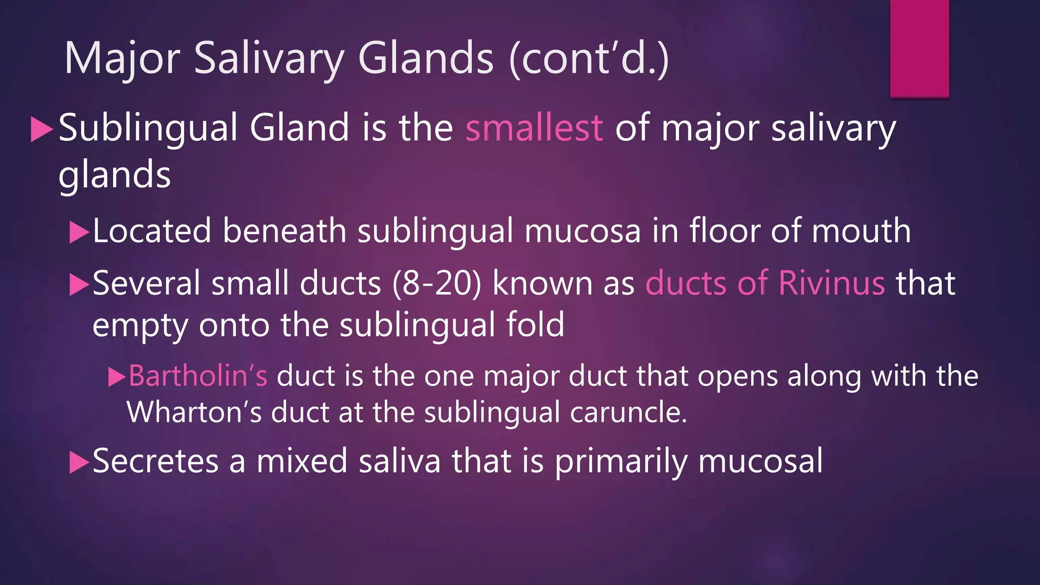 Salivary Glands and Lymphatic System | PPTX