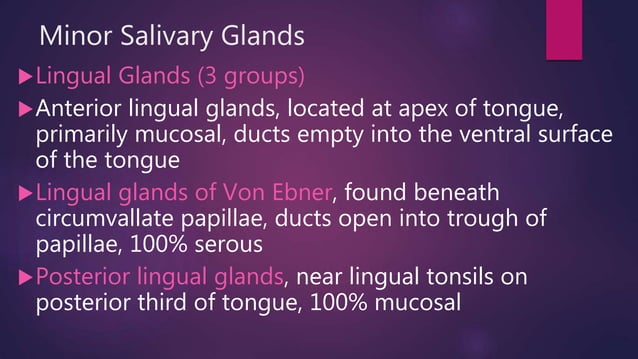 Salivary Glands and Lymphatic System | PPT