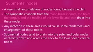 Salivary Glands and Lymphatic System | PPTX