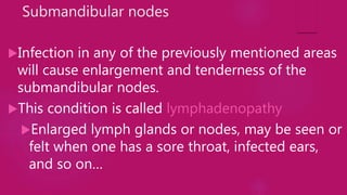 Salivary Glands and Lymphatic System | PPTX