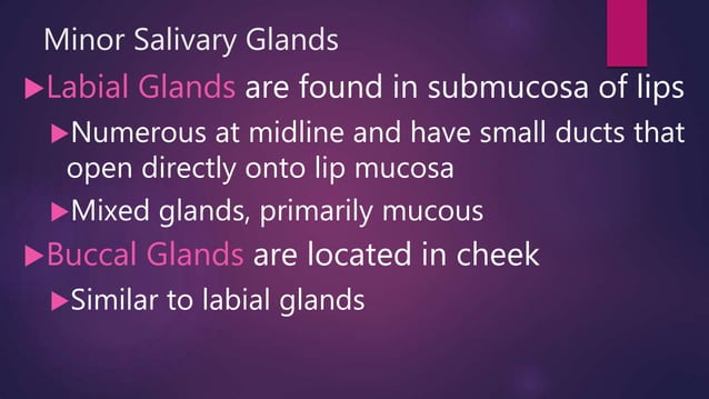 Salivary Glands and Lymphatic System | PPT
