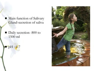 Salivary glands 1.pdf