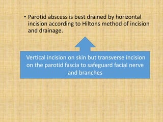 Salivary glands anatomy applied aspects 140608050047-phpapp01 | PPT