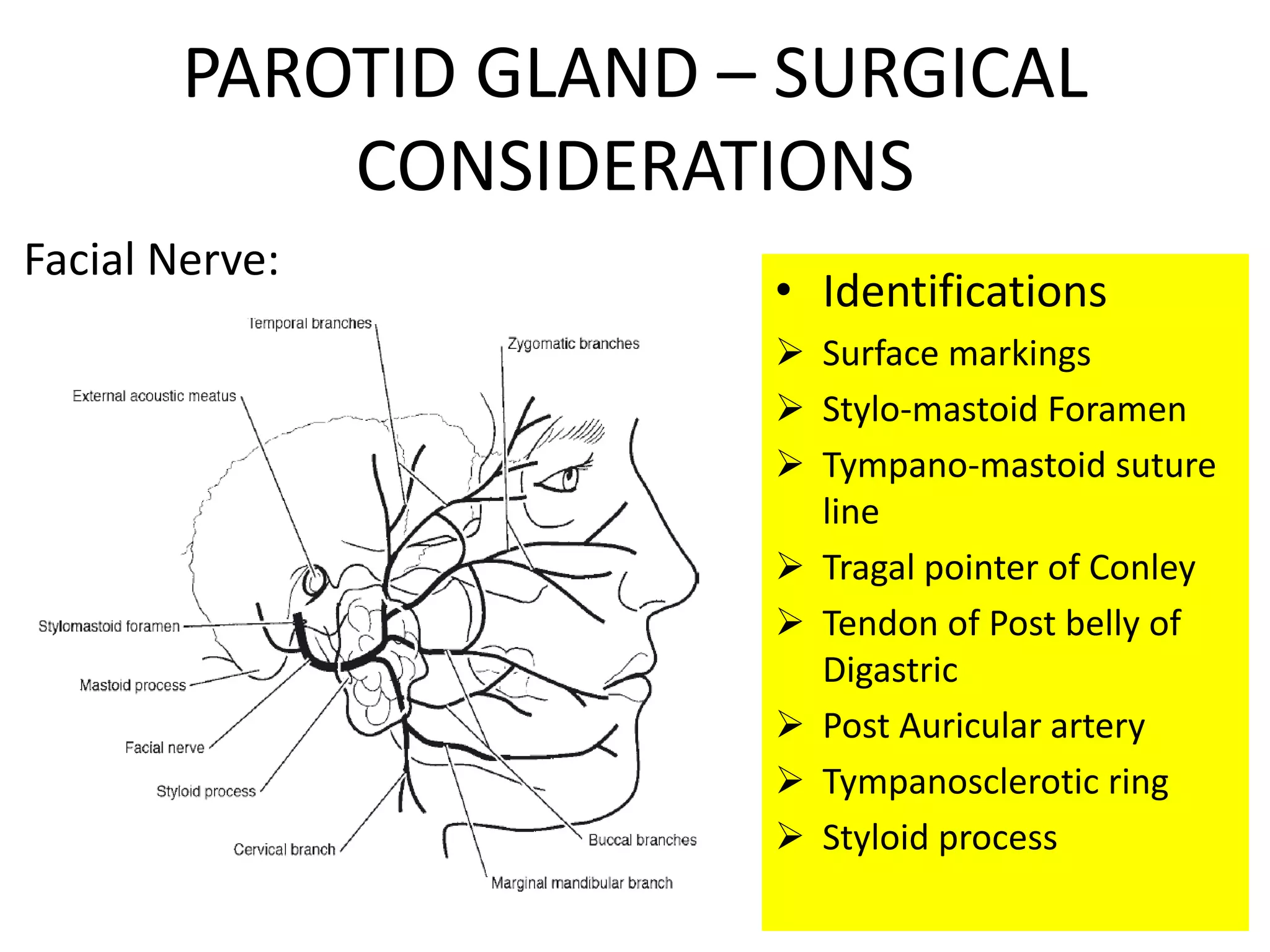Salivary glands anatomy clinical features and diseases management | PPTX