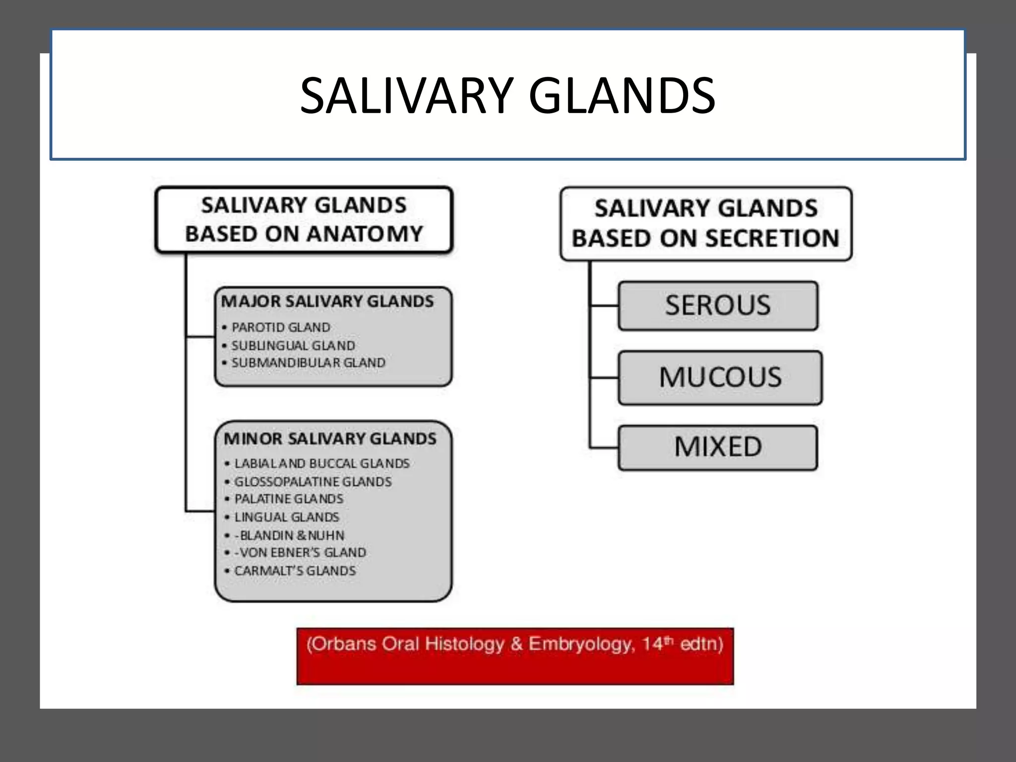 Salivary glands anatomy clinical features and diseases management | PPTX