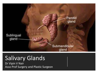 Salivary glands anatomy clinical features and diseases management | PPT