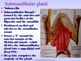 Salivary glands and saliva/ oral surgery courses | PPT | Ear, Nose and ...