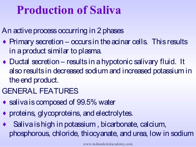 Salivary glands and saliva/ oral surgery courses