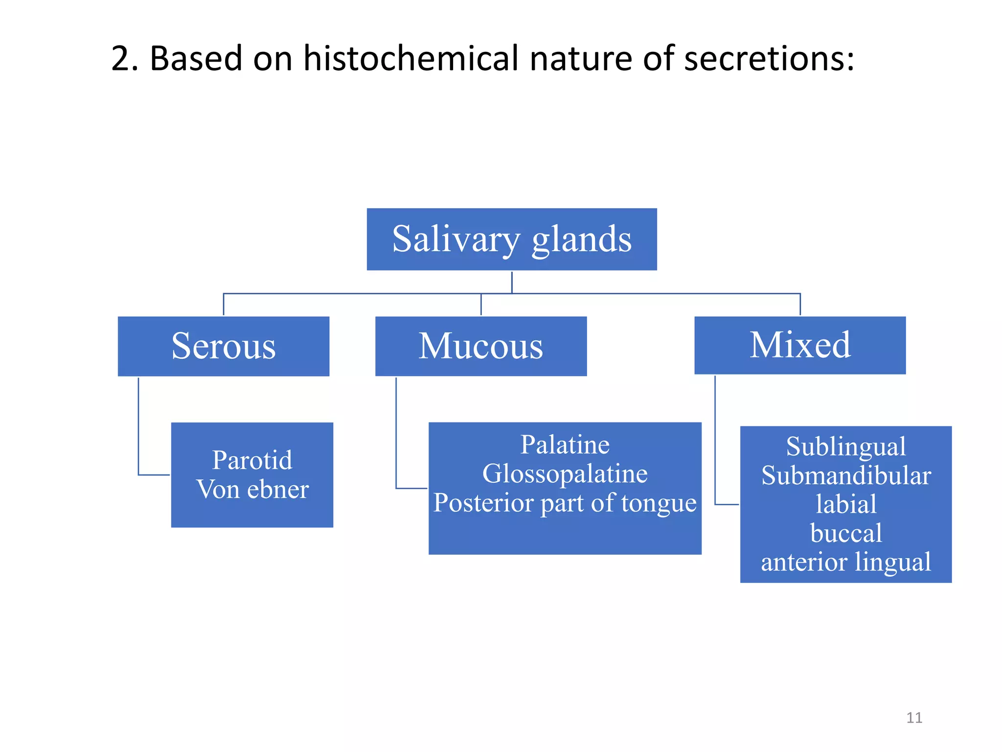 SALIVARY GLANDS AND SALIVA.pptx