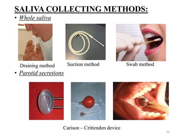 SALIVARY GLANDS AND SALIVA.pptx