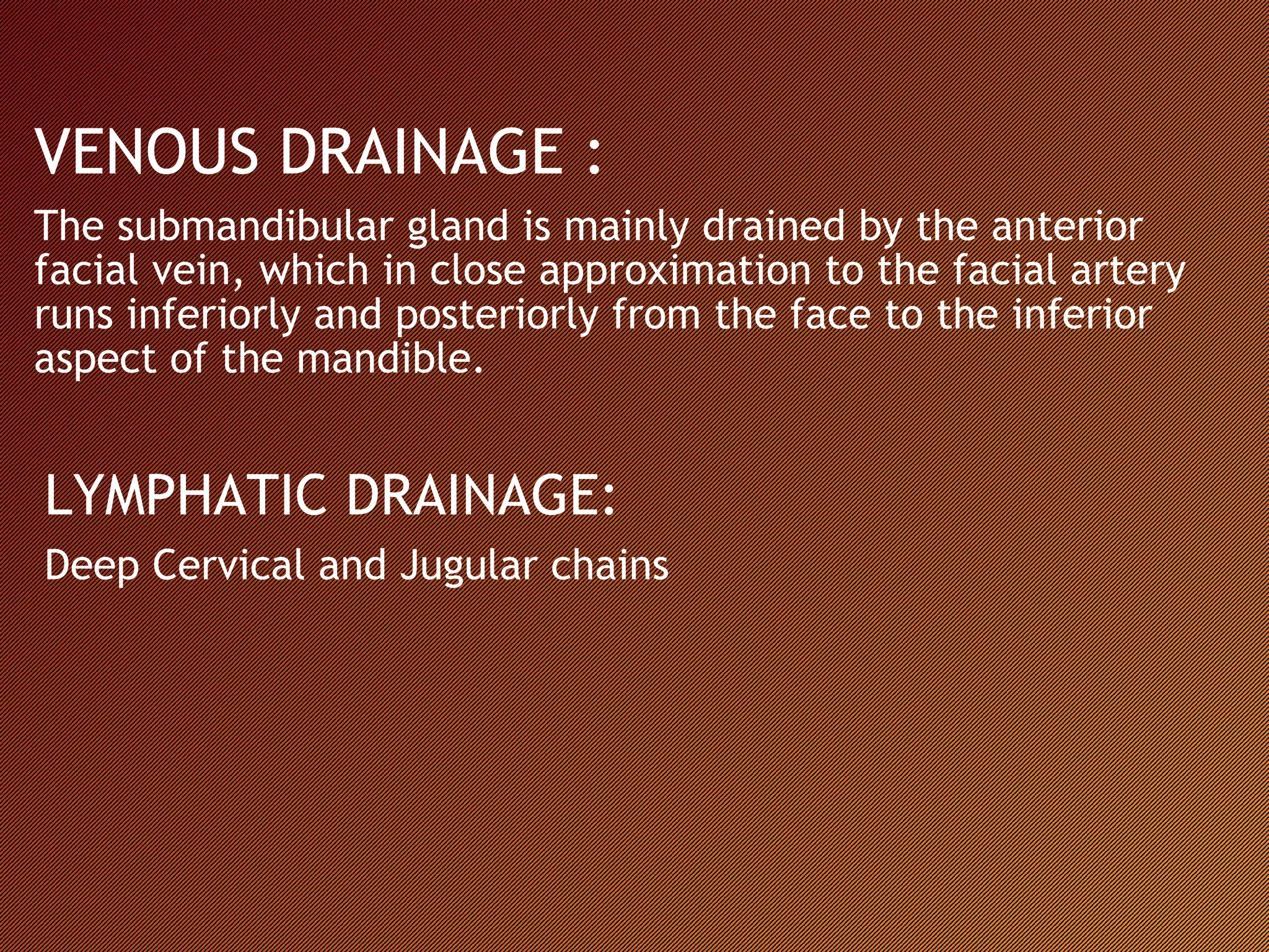 submandibular Salivary glands antomy | PPT