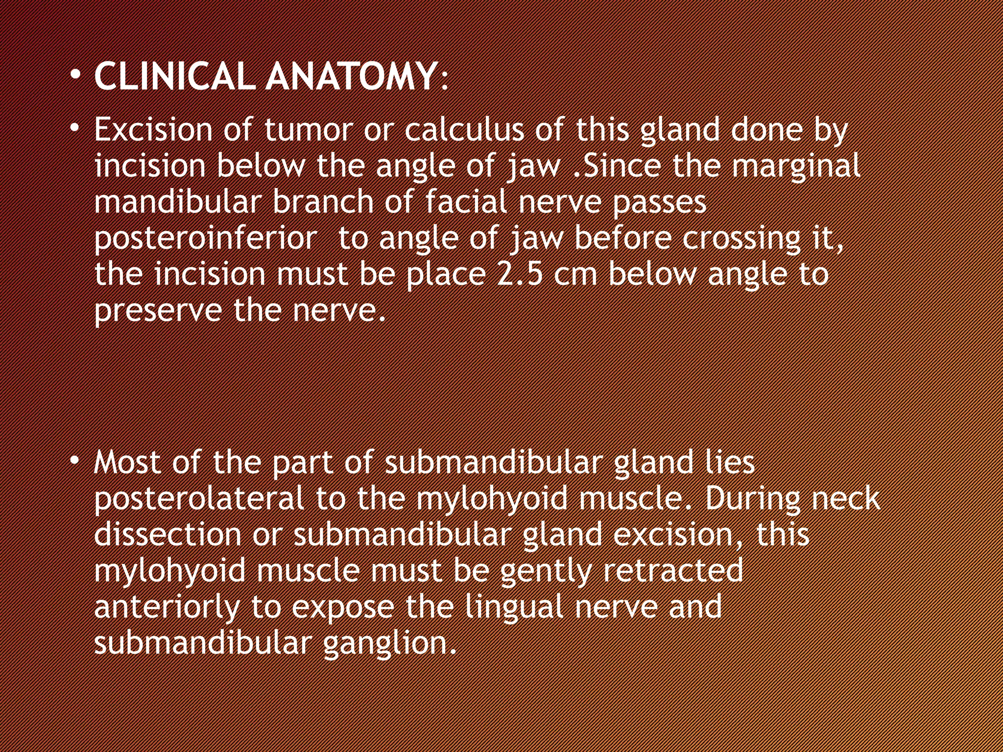 submandibular Salivary glands antomy | PPT