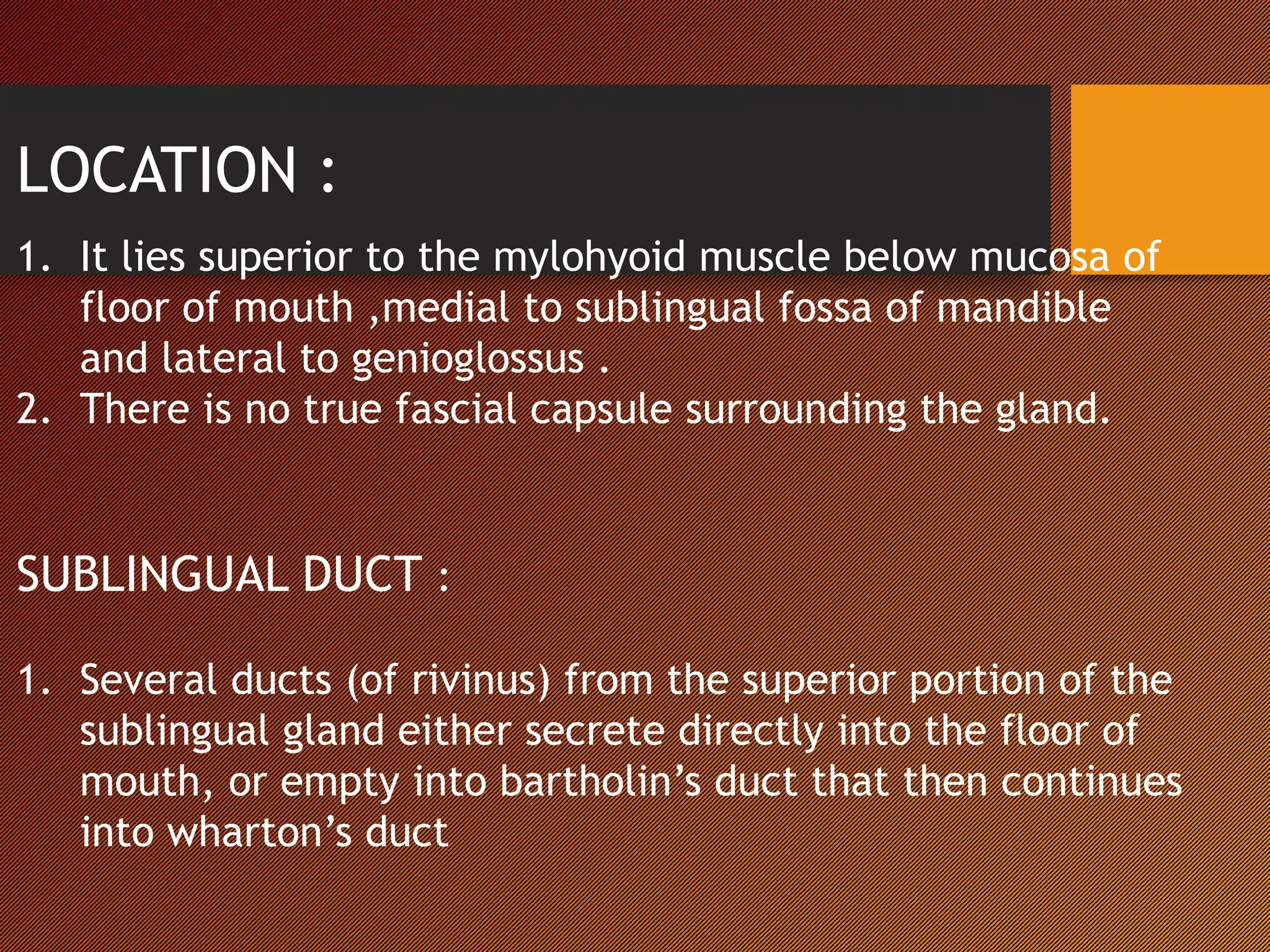 submandibular Salivary glands antomy | PPT